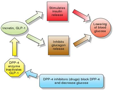 GLIPTINS: BETTER APPROACH FOR TYPE 2 DIABETES « New Drug Approvals