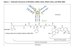 Fam-trastuzumab deruxtecan-nxki « New Drug Approvals